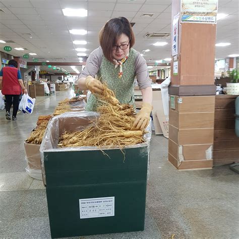2020 금산 안전인삼 생산 유통 본격화 안심 먹거리로 거듭난다 아시아엔 THE AsiaN