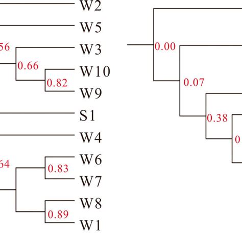 Upgma Cluster Analysis Of Dgge Profiles Of Wet Season And Dry Season Download Scientific Diagram