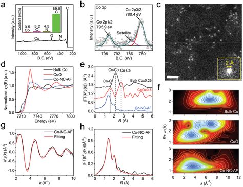 Analysis Of Composition And Atomic Structure A Xps Survey Spectra Of Download Scientific