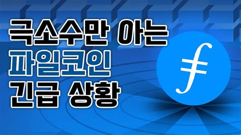 극소수만 아는 파일코인 실제상황 Youtube