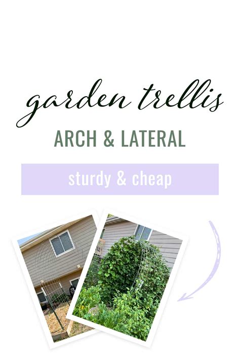 How To Build A Cattle Panel Trellis Arch