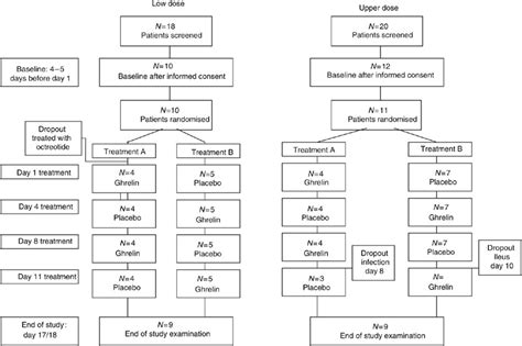 Flow Of Patients In A Randomised Placebo Controlled Double Blind Download Scientific Diagram