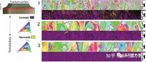 Ijp 应变诱导马氏体相变的晶体塑性建模以预测304 L钢的应变率和温度敏感行为：在拉伸、压缩、扭转和冲击方面的应用 知乎