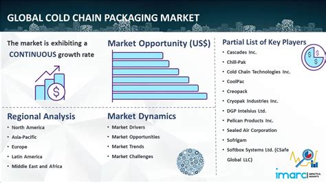 Cold Chain Packaging Market Share Size Growth Report 2032