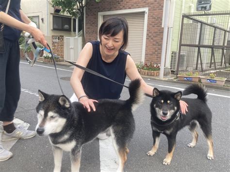 吉田はるみ事務所スタッフ On Twitter 吉田はるみ、午後も地域周り＆ポスター活動！！ あなたと政治の距離を縮めたい。吉田はるみ