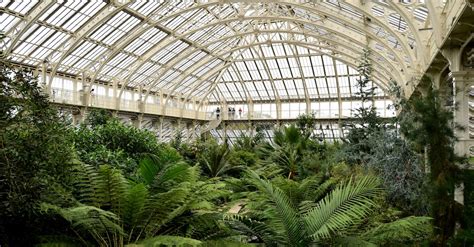 건축 공중 정원 관광 나뭇잎 녹색 녹색 생활 랜드마크 런던 명소 무성한 보존 빅토리아 건축 생물 다양성 생태계 식물 식물 수집 식물 정원 식물