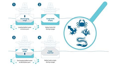 Ballast Water Ballast Water Free Gtt