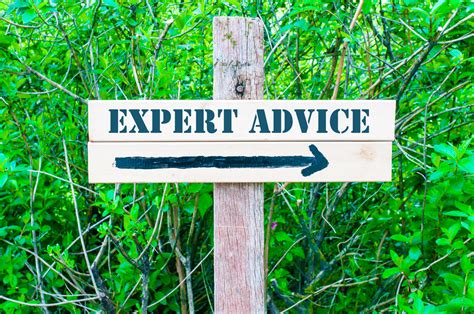 Using Expert Advisors To Improve Your Trading Orbex Forex Trading Blog