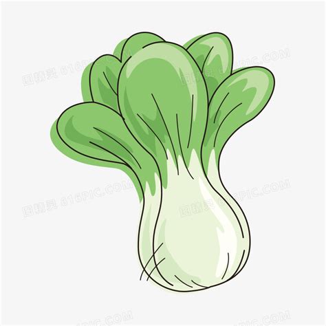 大白菜图片 卡通可爱 可爱图片卡通 伤感说说吧
