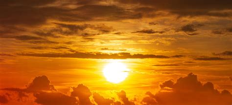 Imágenes de Dawn descubre bancos de fotos ilustraciones vectores y