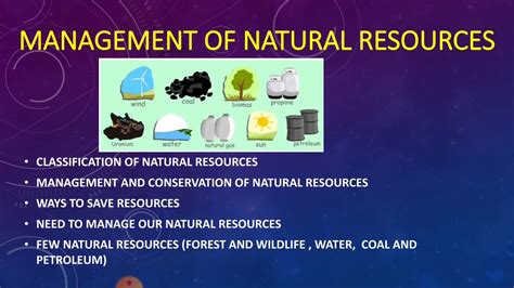 Class 10 Science Project Management Of Natural Resources At Savannah