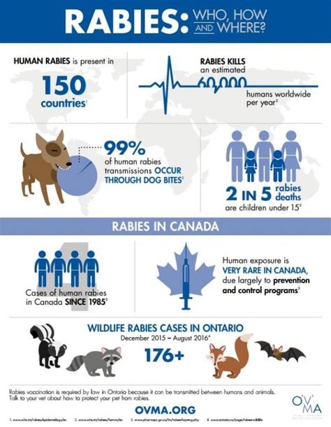 Rabies Virus Types And Its Laboratory Diagnosis Artofit