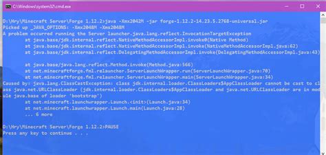 cant start a forge server support and bug reports forge forums