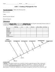 Lab Creating Phylogenetic Trees New Docx Name Period Date LAB Creating A