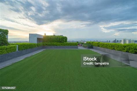 콘도 또는 호텔의 전용 옥상에 스카이 정원 나무 잔디 필드 푸른 하늘고층 건축 건물 0명에 대한 스톡 사진 및 기타 이미지 0명 건축 고급 호텔 Istock