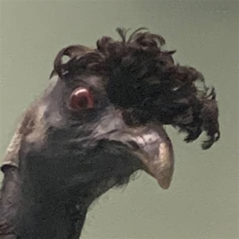 Alan Y Ssyang 06 • Threads Say More