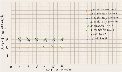 Solved 5 Using The Graph Paper Provided Construct A Single Graph