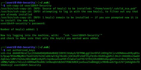 Privilege Escalation SSH Keys VK Security
