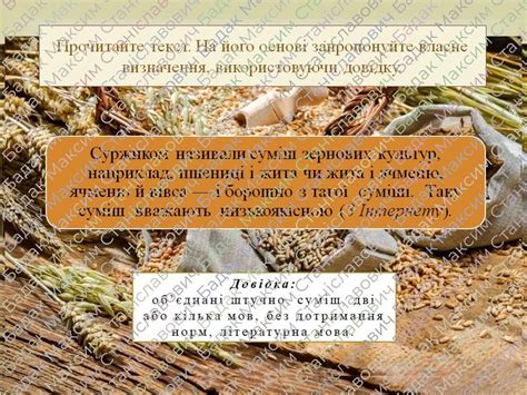 Презентація на тему Суржик для 5 класу НУШ Презентація Українська