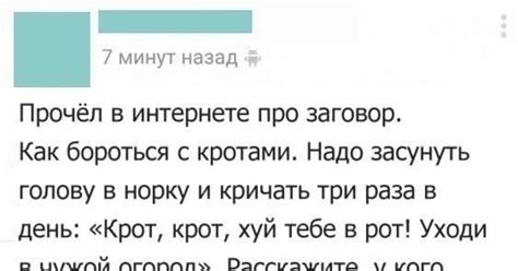 Средство против кротов | Пикабу