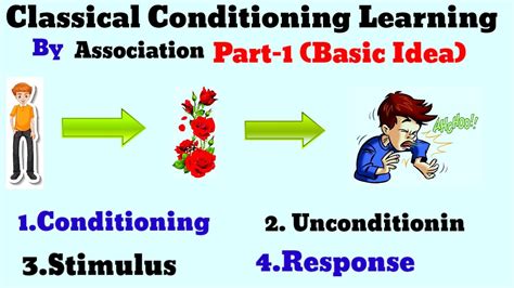 Classical Conditioning Learning By Association Part 1 Basic Idea