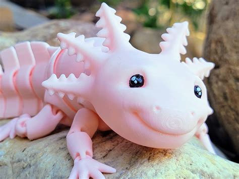 Articulated Axolotl Fidget Toy Desk Fidget Toy Sensory Toys Adult Adhd Fidget 3d Printed