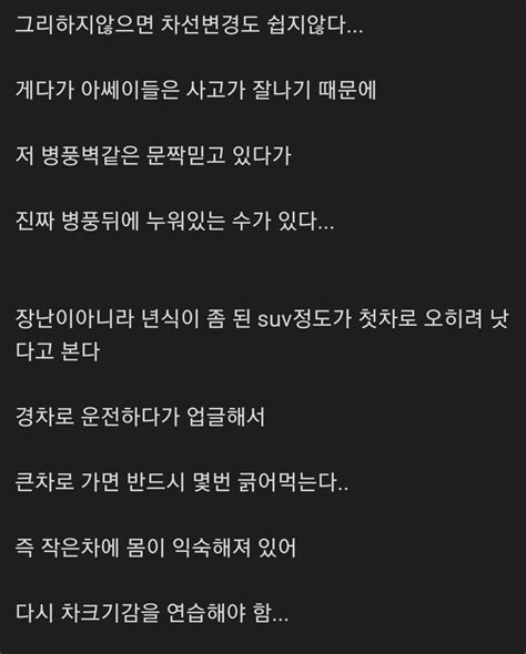 의외로 초보에게 추천안하는 경차  유머 움짤 이슈 에펨코리아