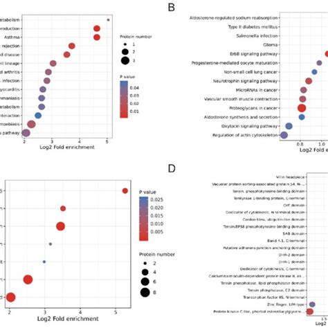 Kegg Pathways And Protein Structural Domain Enrichment Analysis Of Deps