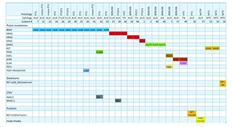 Molecular Signature Oncoprint Of Indeterminate Thyroid Nodules Download Scientific Diagram