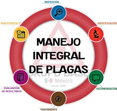 Agroacademicosmy Manejo Integrado De Plagas 35088 The Best Porn Website