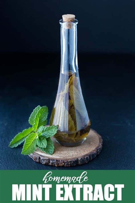 Homemade Mint Extract Simply Stacie