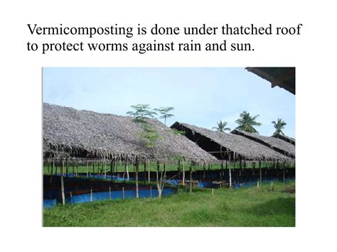 Vermicomposting Pdf