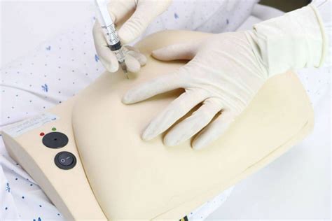 Buttock Injection Model With Anatomical Structure