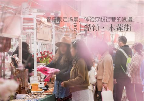 格物观察｜场景邂逅文创，在成都遇见鲜活的城市文化腾讯新闻