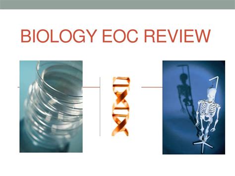Ppt Biology Eoc Review Powerpoint Presentation Free Download Id