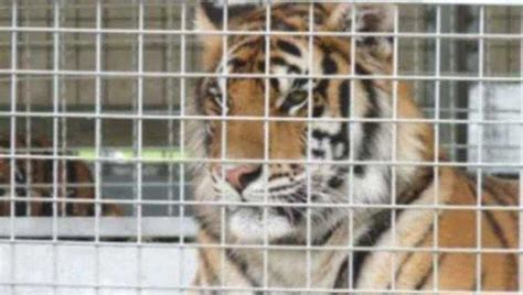 Akhalitaoba Ge გაზეთი ”ახალი თაობა”