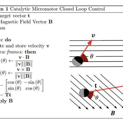 Algorithm 1 Black Lines In The Visual Representation On The Right Hand