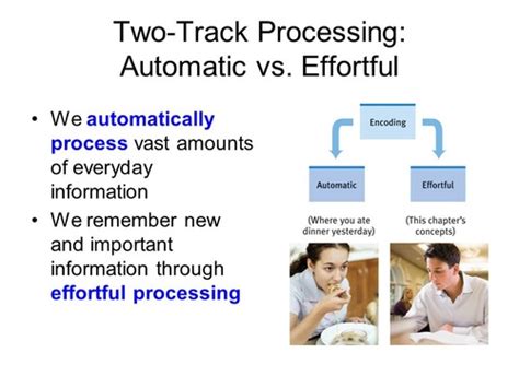Effortful Processing Psychology