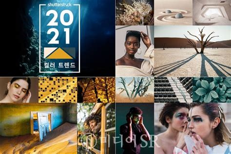 시니어 멋쟁이 올해는 노란색과 회색이 대세다 Dealsite경제tv