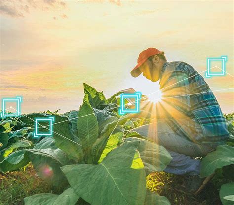 Safety Infrastructure And Geospatial Hexagon