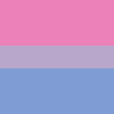 Pansexual Pride Flag Profile Filter Openclipart