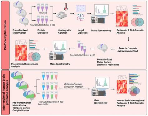 Antonio Di Ieva On Linkedin Inter Regional Proteomic Profiling Of The