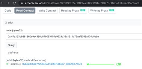 Github Edmulraneysubdomain Wildcard Resolver