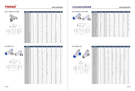 上一篇 台湾山耐斯PB G螺纹正三通 G螺纹