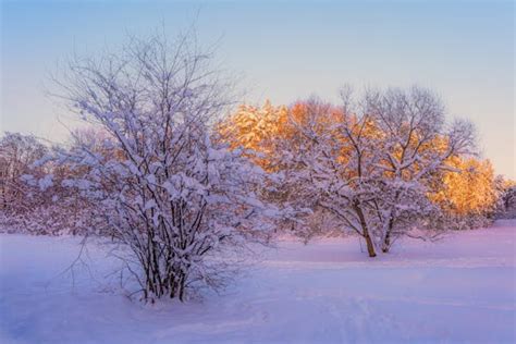 Snow Image Photos, Download The BEST Free Snow Image Stock Photos & HD ...