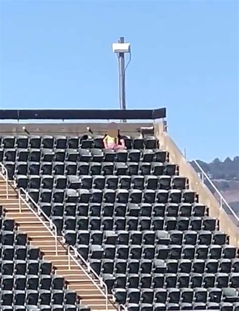 Woman Caught Performing Sex Act On Man At Baseball Game Sparking Police Probe With Raunchy