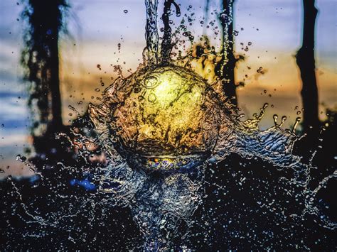 Free Images Tree Nature Liquid Sunset Sunlight Morning Water Drop Wet Evening
