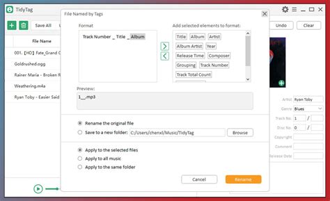 ITubeGo TidyTag Music Tag Editor 2 0 0 Free Download FileCR