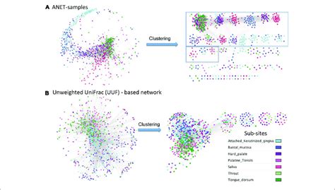 networks of oral samples and their clustering by the markov
