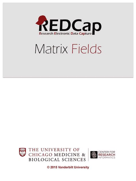 Fillable Online Matrix Fields Fax Email Print Pdffiller